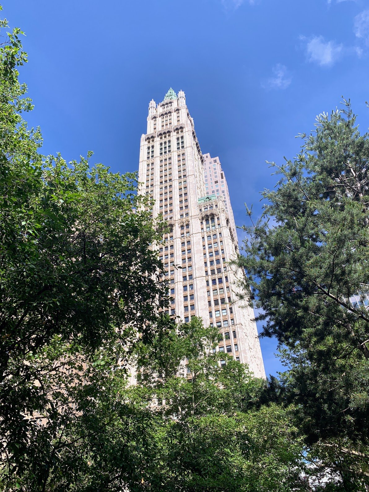 Every Neighborhood Leafy (Part One) – New York State Urban Forestry Council