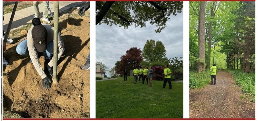 CERTIFIED TREE STEWARD TRAINING – New York State Urban Forestry Council
