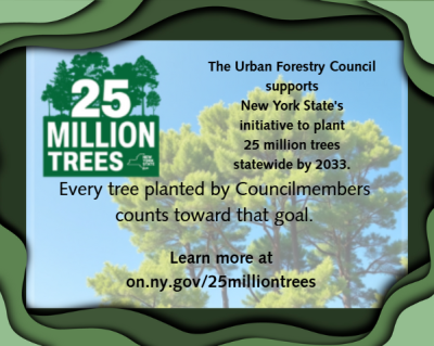 NYSACC Annual Conference — Innovations: Solutions for a Changing ...